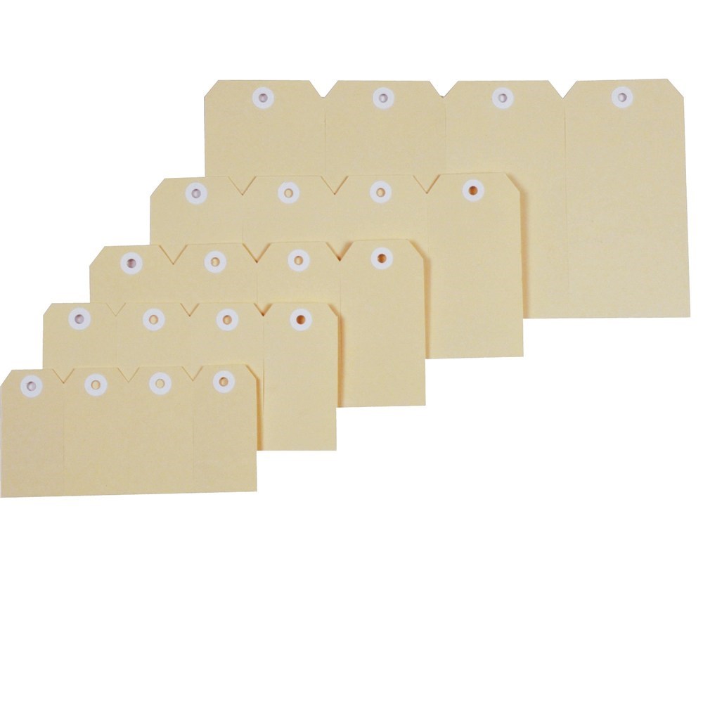 Envelopes & Post Accessories - Esselte Shipping Tags No. 5 60 x 120mm ...